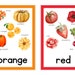 Garden Color Flashcards | Montessori Learning Posters (digital Download ...