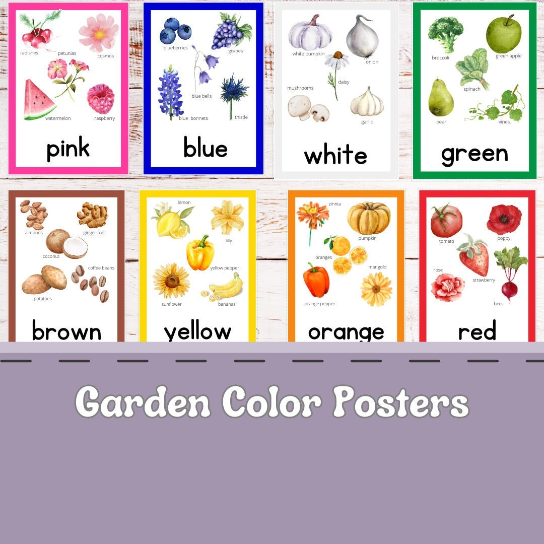 Color Flashcards for Toddlers | Color Posters | Flashcards for ...