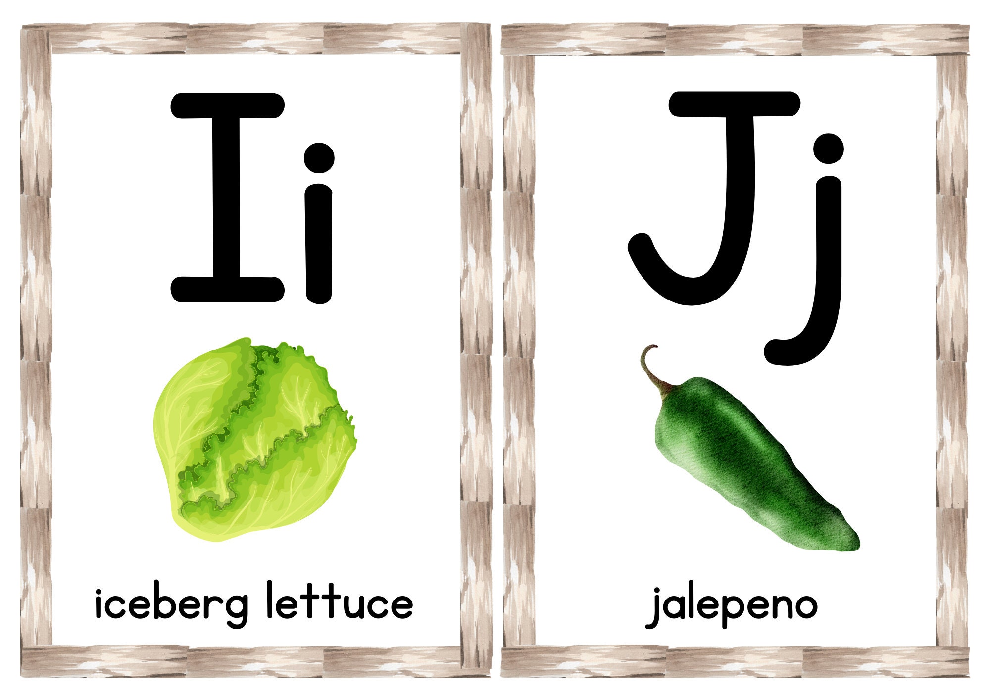 Vegetable Garden Alphabet Flashcards | Montessori Preschool (digital ...