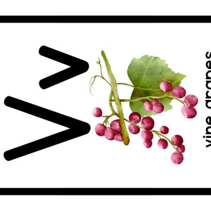 Alphabet Classroom Posters Fruit Themed | Alphabet Flashcards ...