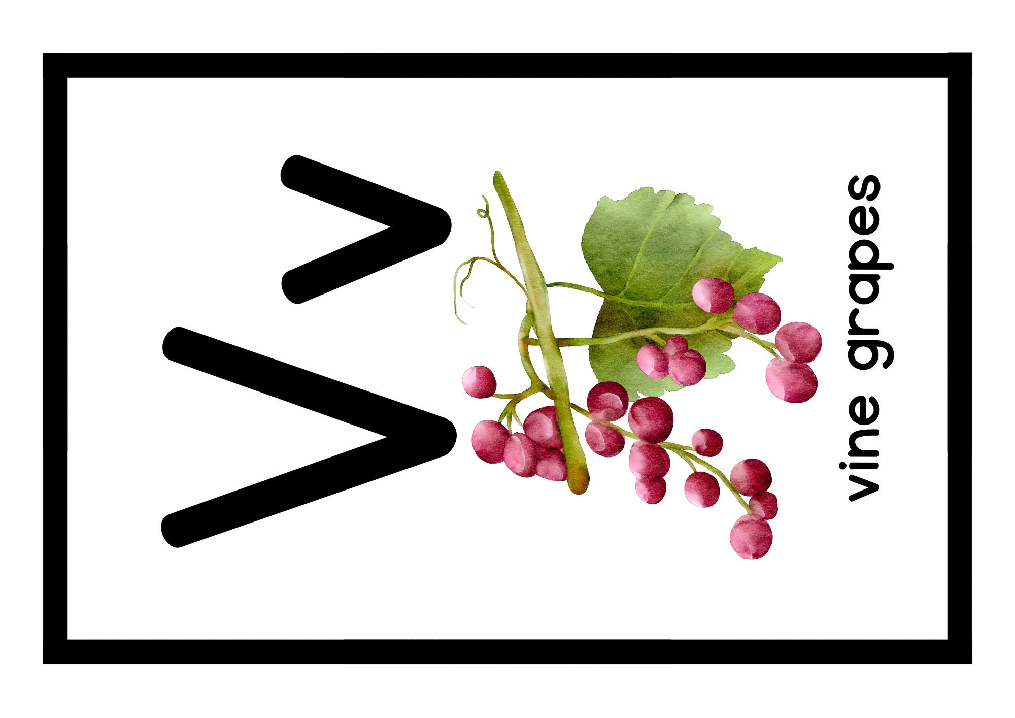 Alphabet Classroom Posters Fruit Themed | Alphabet Flashcards ...