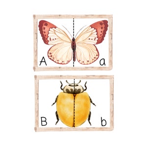 Insect Alphabet Flashcards Printable for Kids | Alphabet Match |letter ...