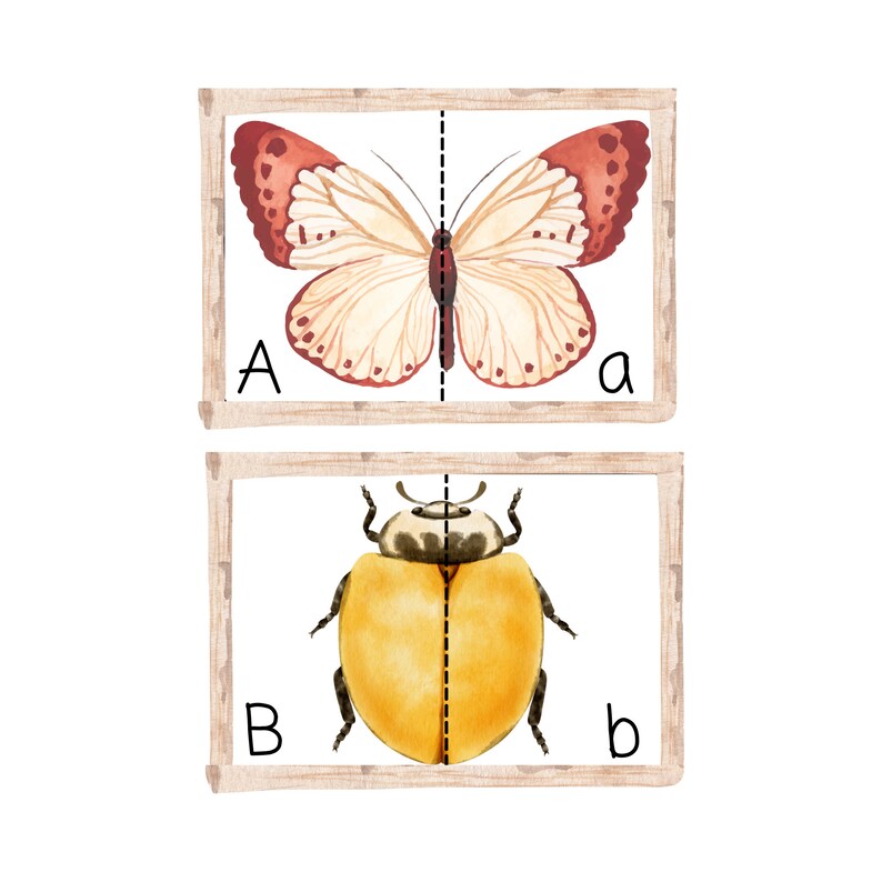 Insect Alphabet Flashcards Printable for Kids | Alphabet Match |letter ...