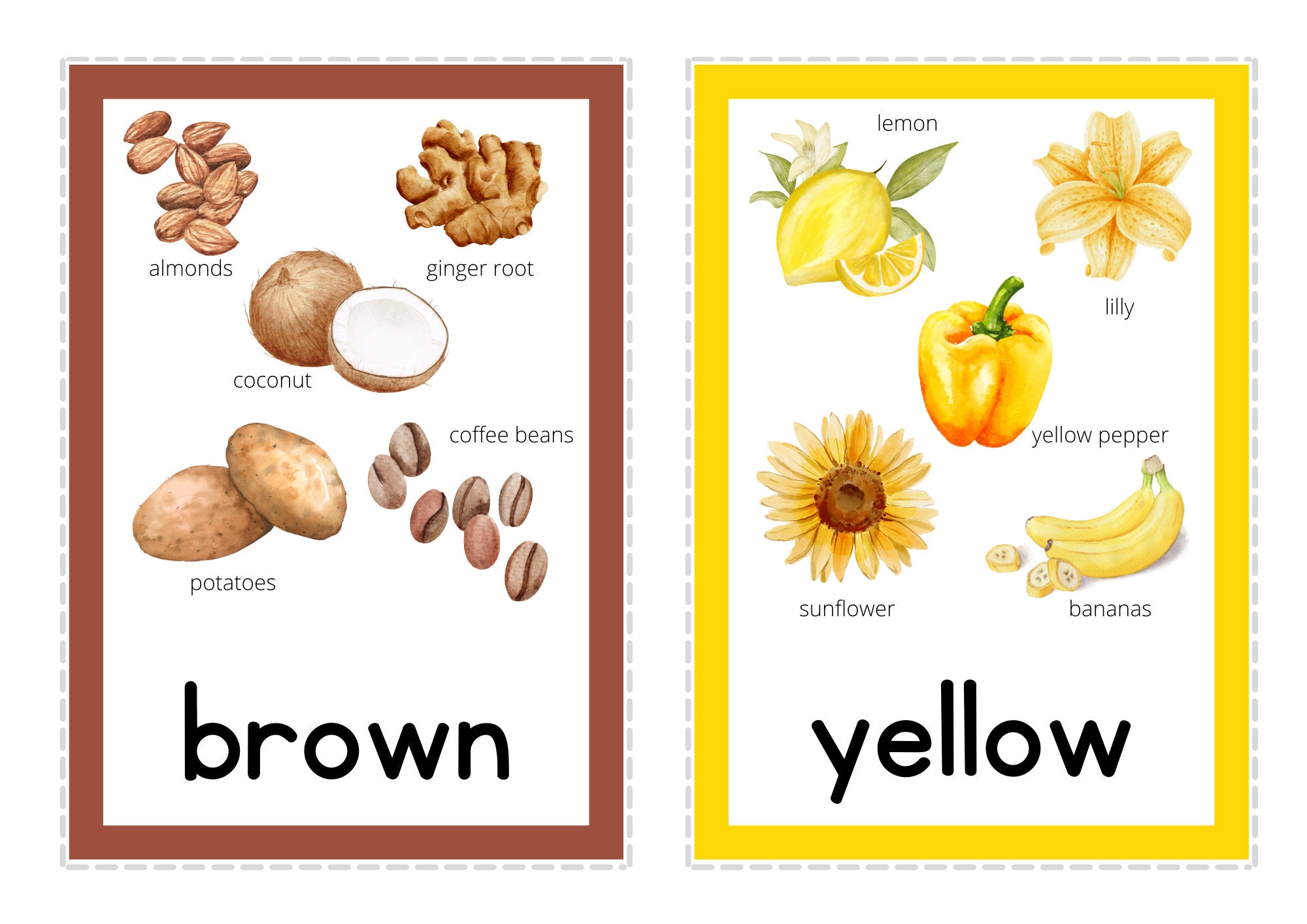 Garden Color Flashcards | Montessori Learning Posters (digital Download ...