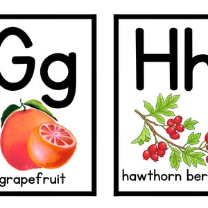 Alphabet Classroom Posters Fruit Themed | Alphabet Flashcards ...