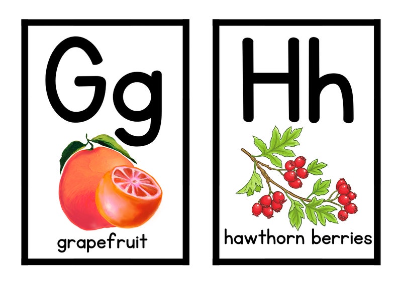 Alphabet Classroom Posters Fruit Themed | Alphabet Flashcards ...