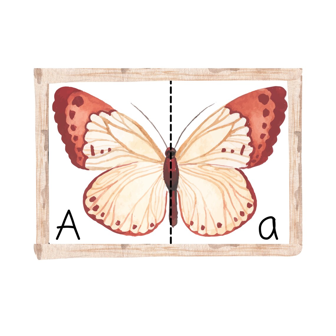 Insect Alphabet Flashcards Printable for Kids | Alphabet Match |letter ...