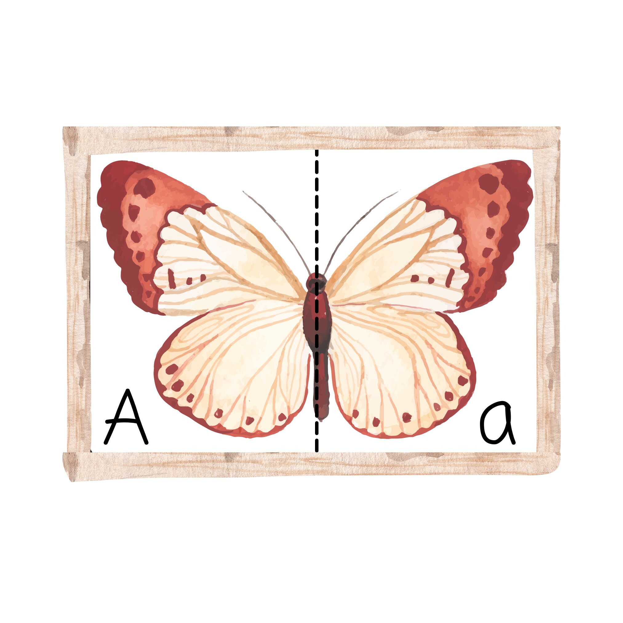 Insect Alphabet Flashcards Printable for Kids | Alphabet Match |letter ...