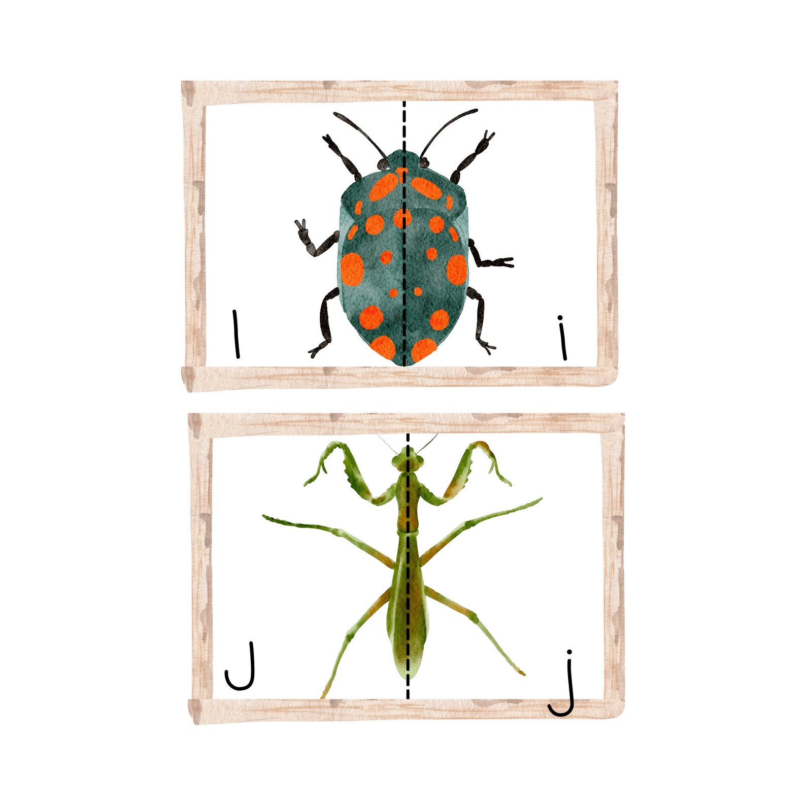 Insect Alphabet Flashcards Printable for Kids | Alphabet Match |letter ...