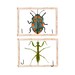 Insect Alphabet Flashcards Printable for Kids | Alphabet Match |letter ...