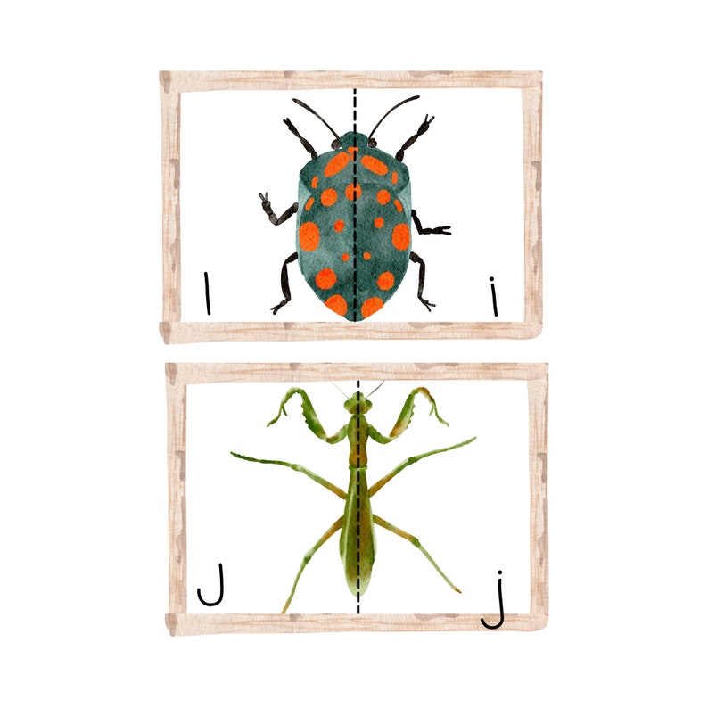 Insect Alphabet Flashcards Printable for Kids | Alphabet Match |letter ...