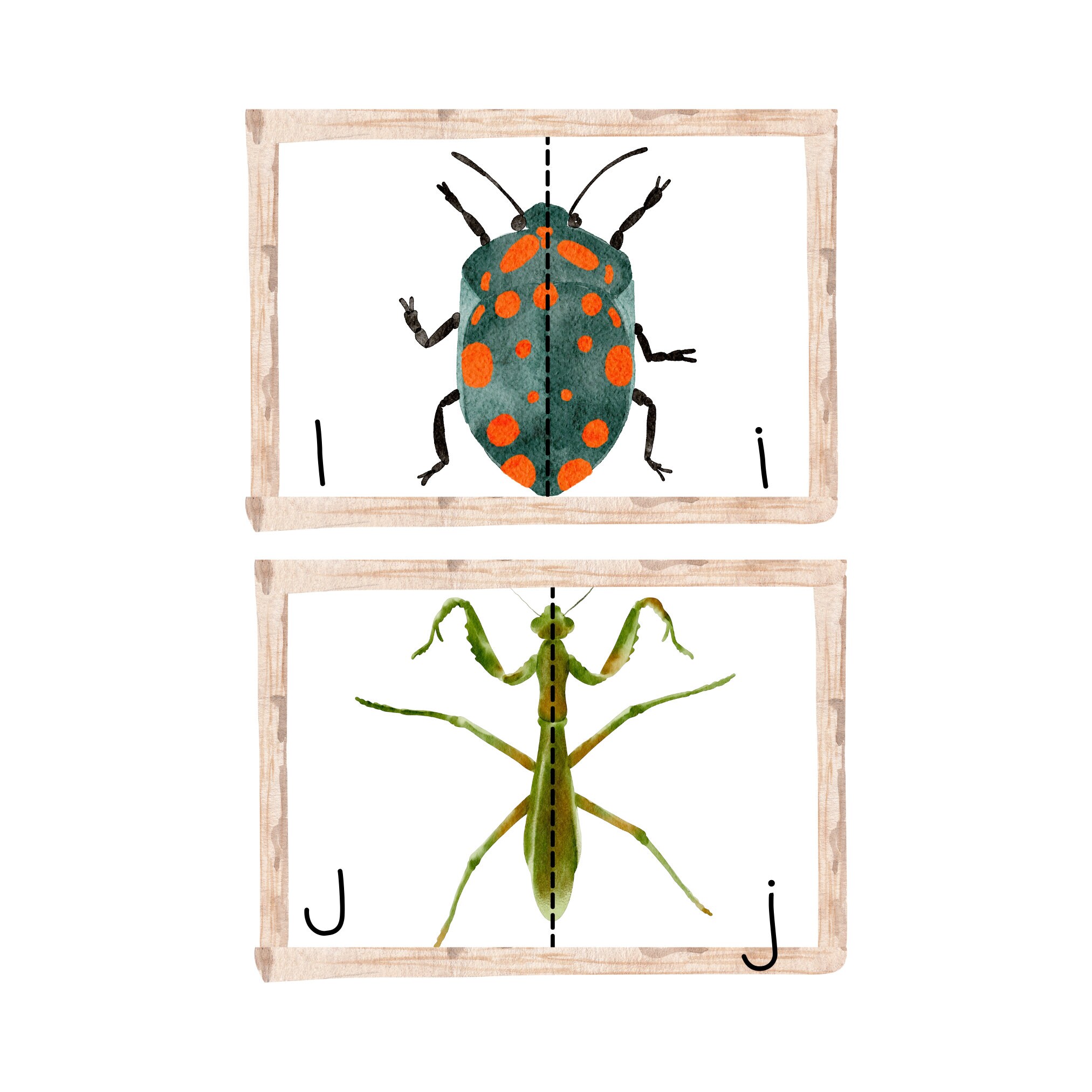 Insect Alphabet Flashcards Printable for Kids | Alphabet Match |letter ...