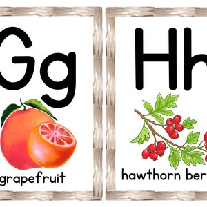 Alphabet Flashcards Printable | Letter Flashcards | Fruit Themed ...