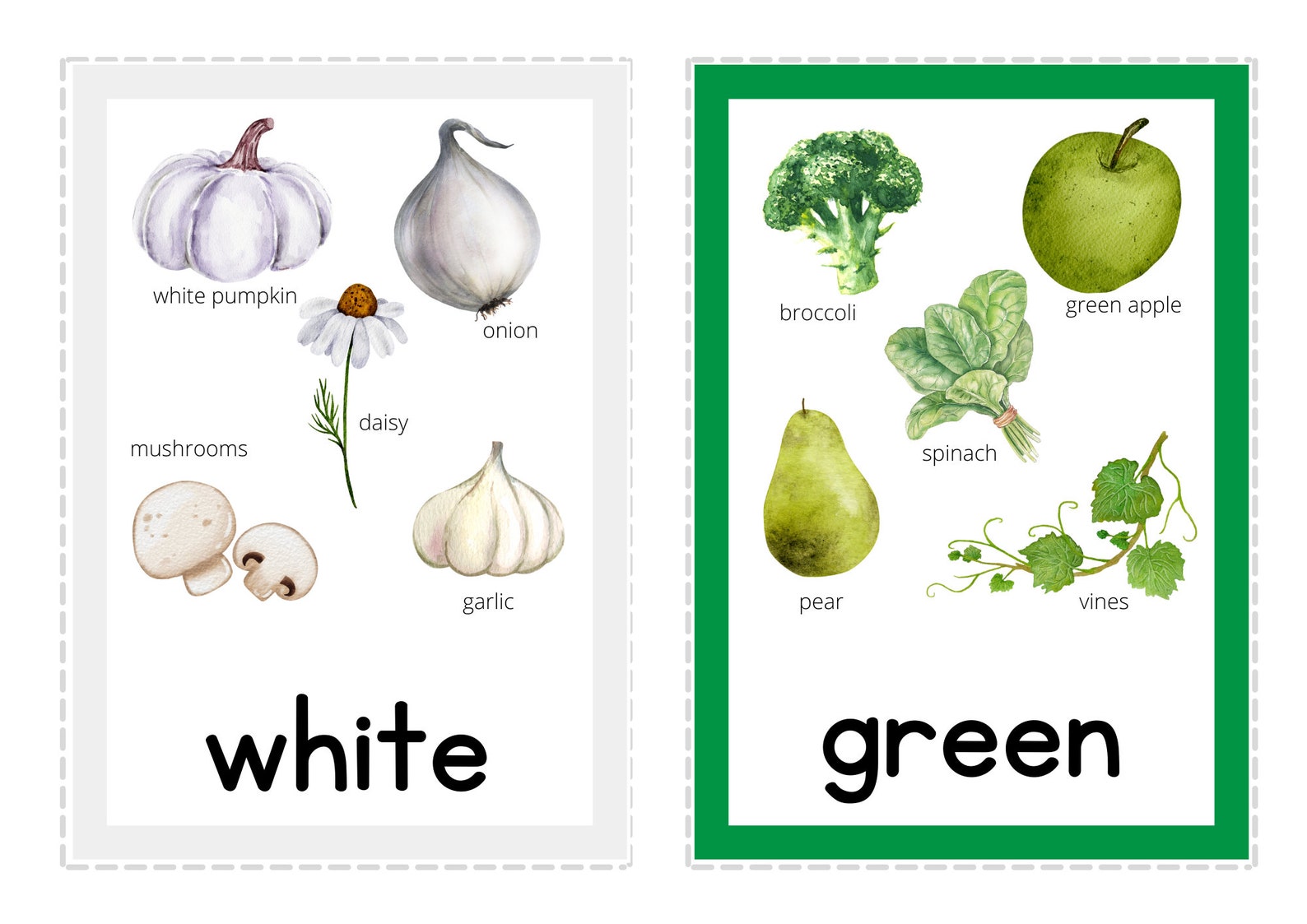 Garden Color Flashcards | Montessori Learning Posters (digital Download ...