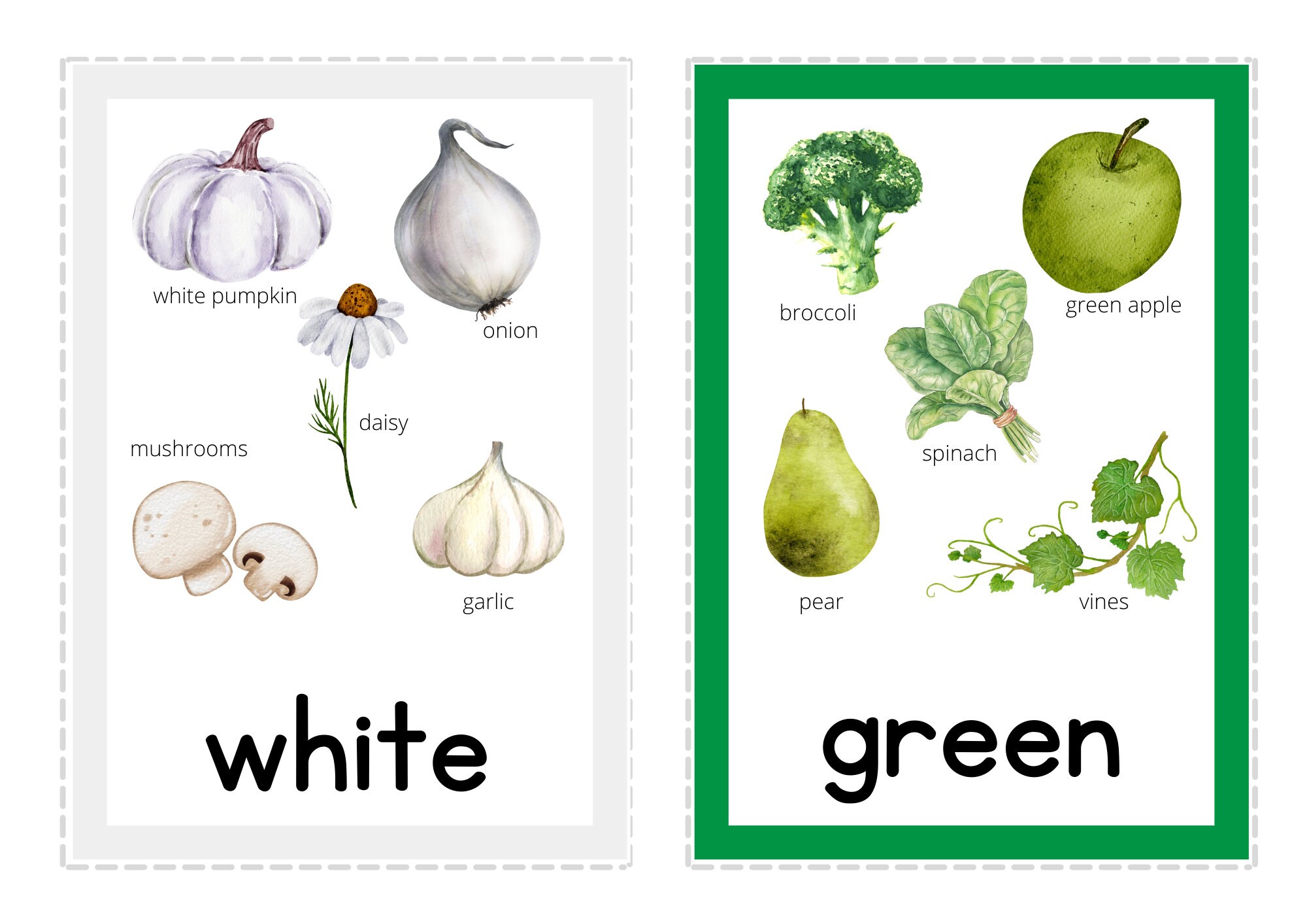 Garden Color Flashcards | Montessori Learning Posters (digital Download ...