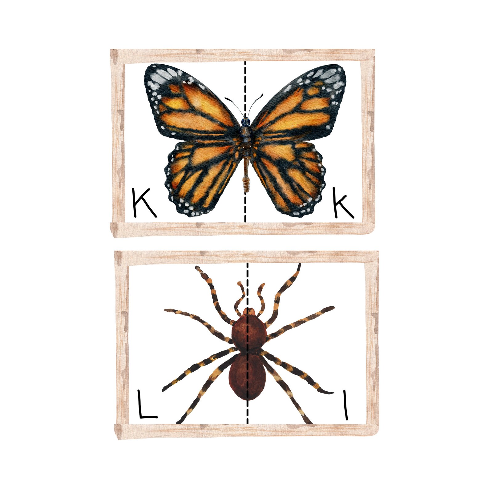 Insect Alphabet Flashcards Printable for Kids | Alphabet Match |letter ...