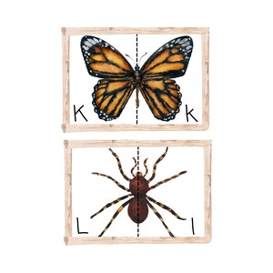 Insect Alphabet Flashcards Printable for Kids | Alphabet Match |letter ...