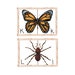 Insect Alphabet Flashcards Printable for Kids | Alphabet Match |letter ...