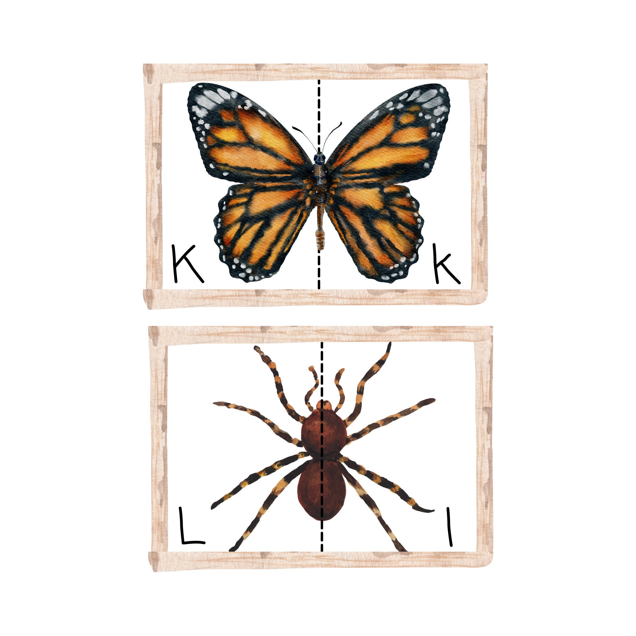 Insect Alphabet Flashcards Printable for Kids | Alphabet Match |letter ...
