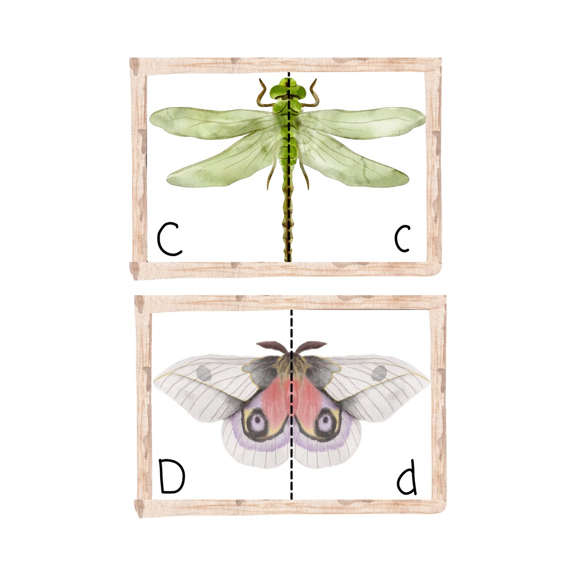 Insect Alphabet Flashcards Printable for Kids Alphabet Match letter ...