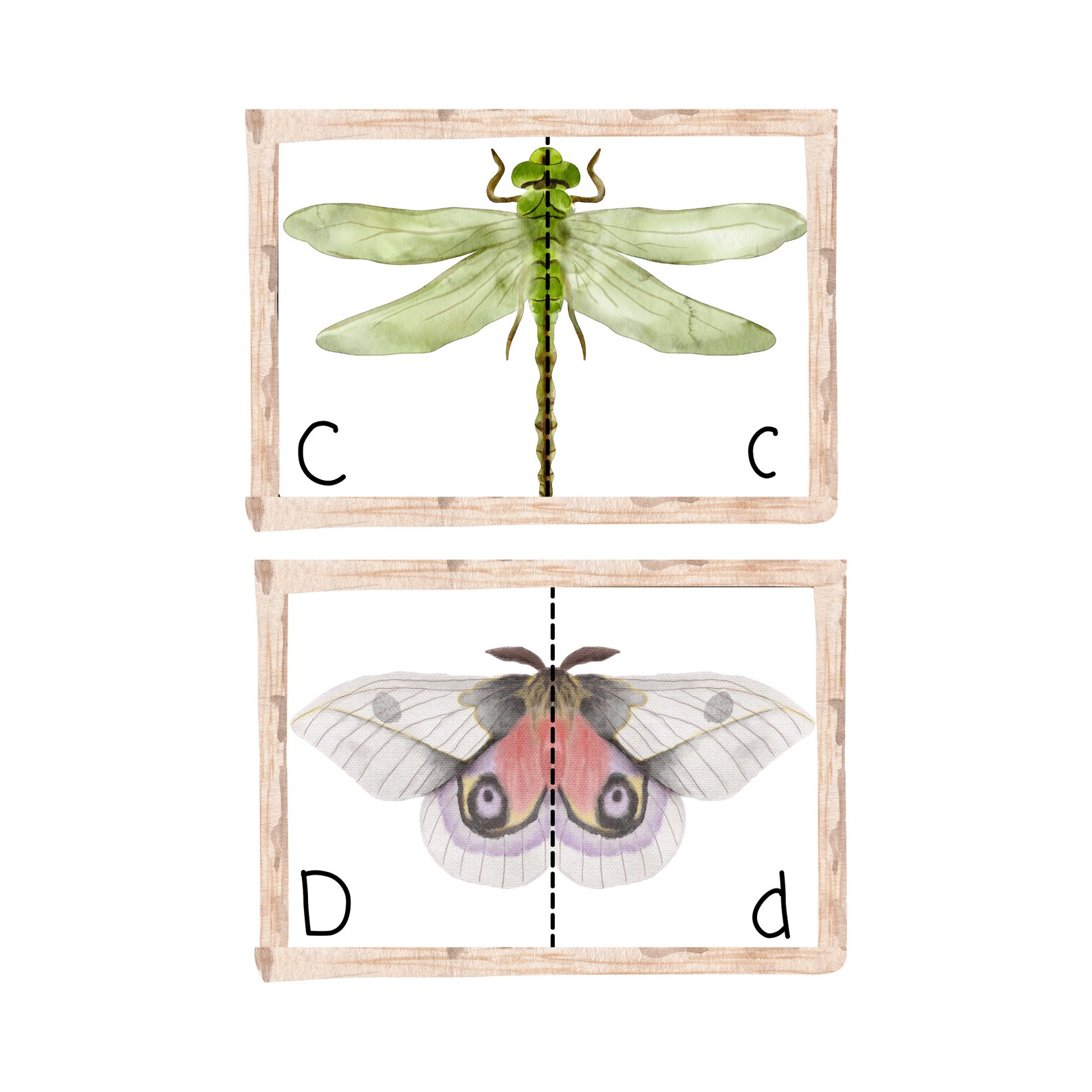 Insect Alphabet Flashcards Printable for Kids Alphabet Match letter ...