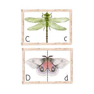 Insect Alphabet Flashcards Printable for Kids | Alphabet Match |letter ...