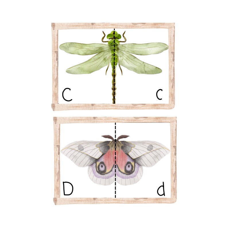 Insect Alphabet Flashcards Printable for Kids | Alphabet Match |letter ...