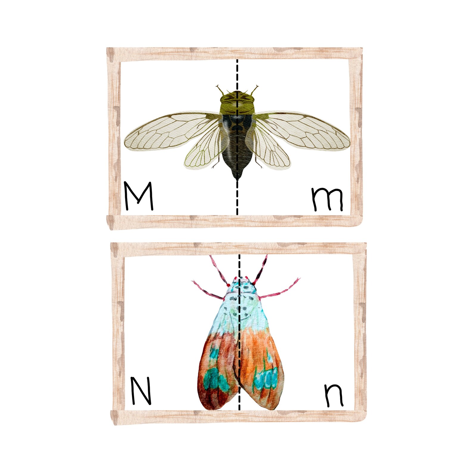 Insect Alphabet Flashcards Printable for Kids Alphabet Match letter ...