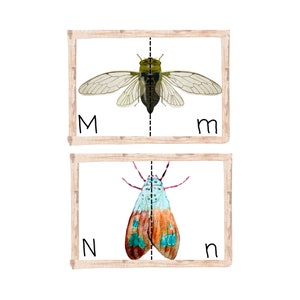 Insect Alphabet Flashcards Printable for Kids | Alphabet Match |letter ...