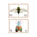 Insect Alphabet Flashcards Printable for Kids | Alphabet Match |letter ...