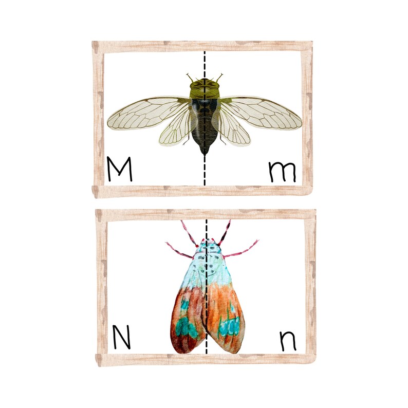 Insect Alphabet Flashcards Printable for Kids | Alphabet Match |letter ...