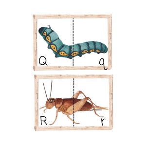 Insect Alphabet Flashcards Printable for Kids | Alphabet Match |letter ...