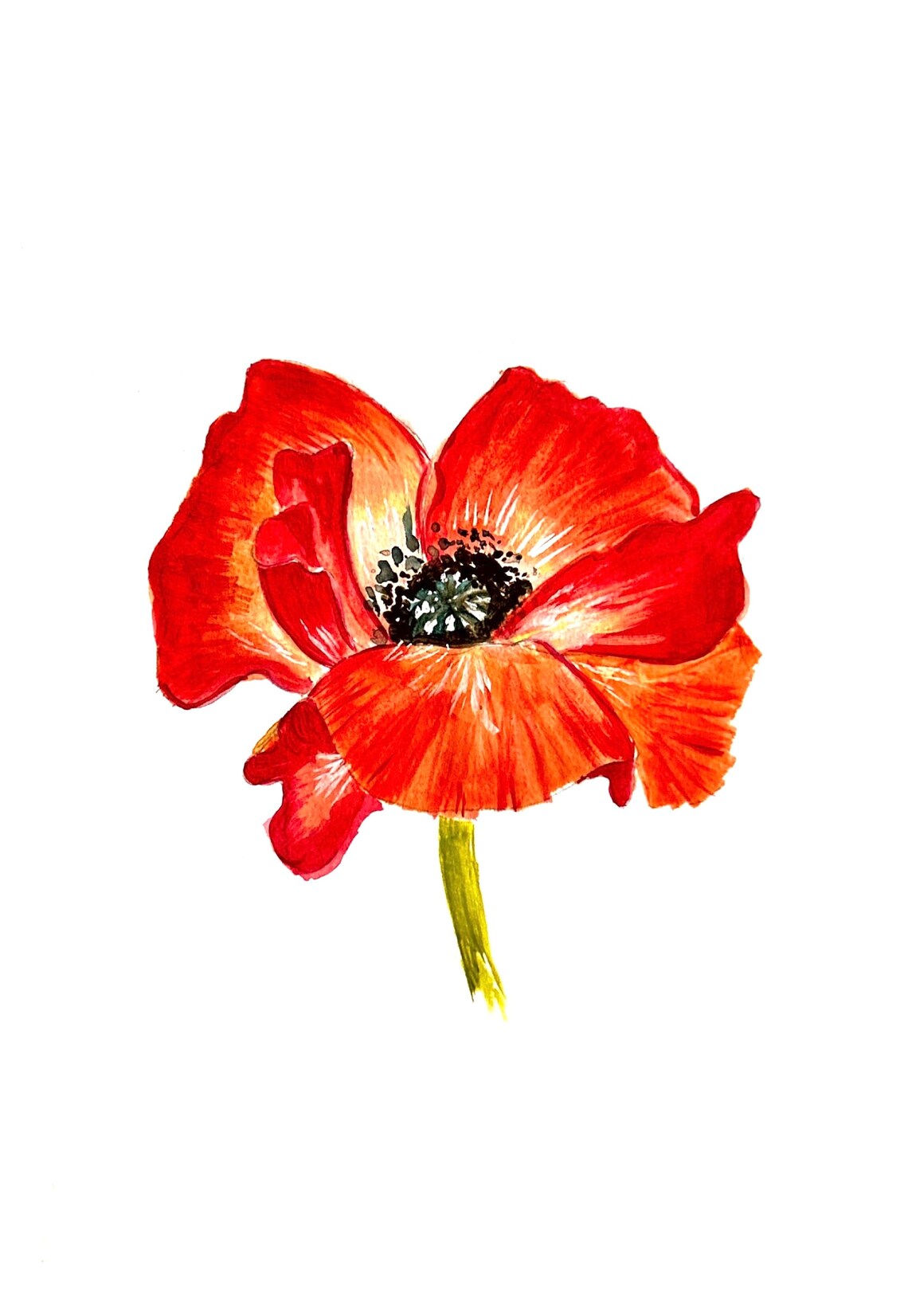 Poppy Art Print - Etsy