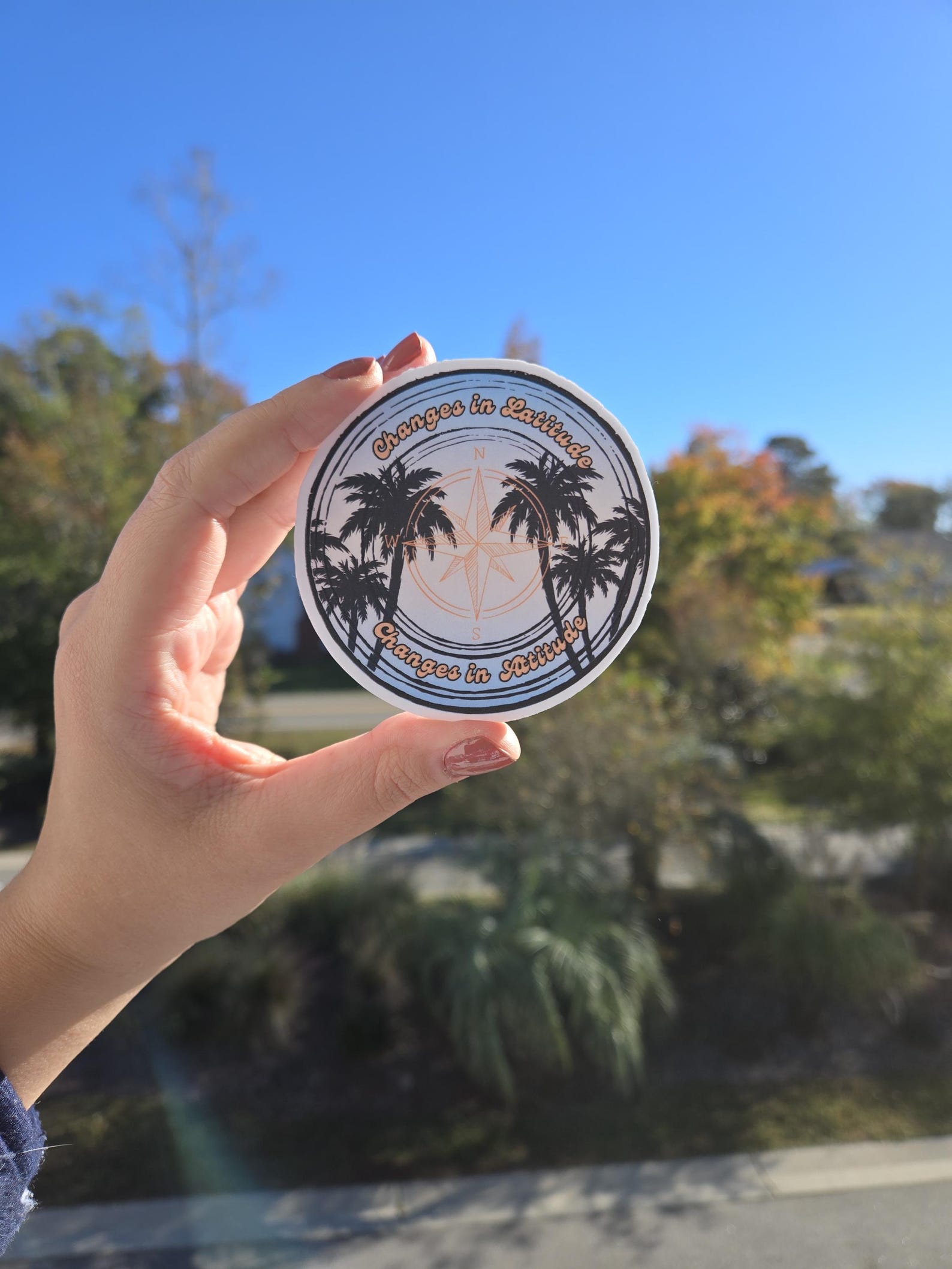 Jimmy Buffett Sticker Bundle High Quality Parrot Head Die-cut Stickers ...