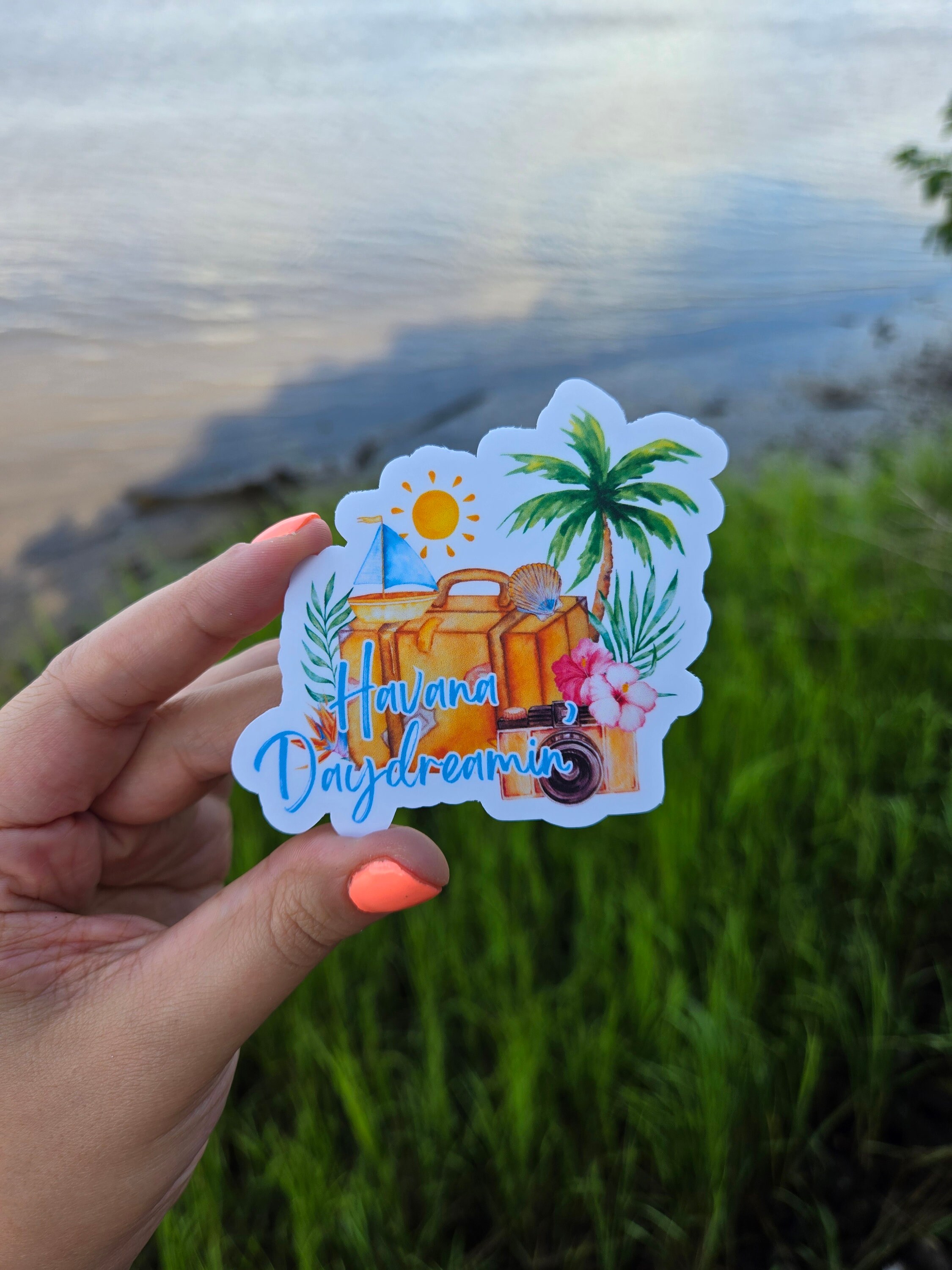 Jimmy Buffett Sticker Havana Daydreamin Jimmy Buffett Gift Parrot Head ...