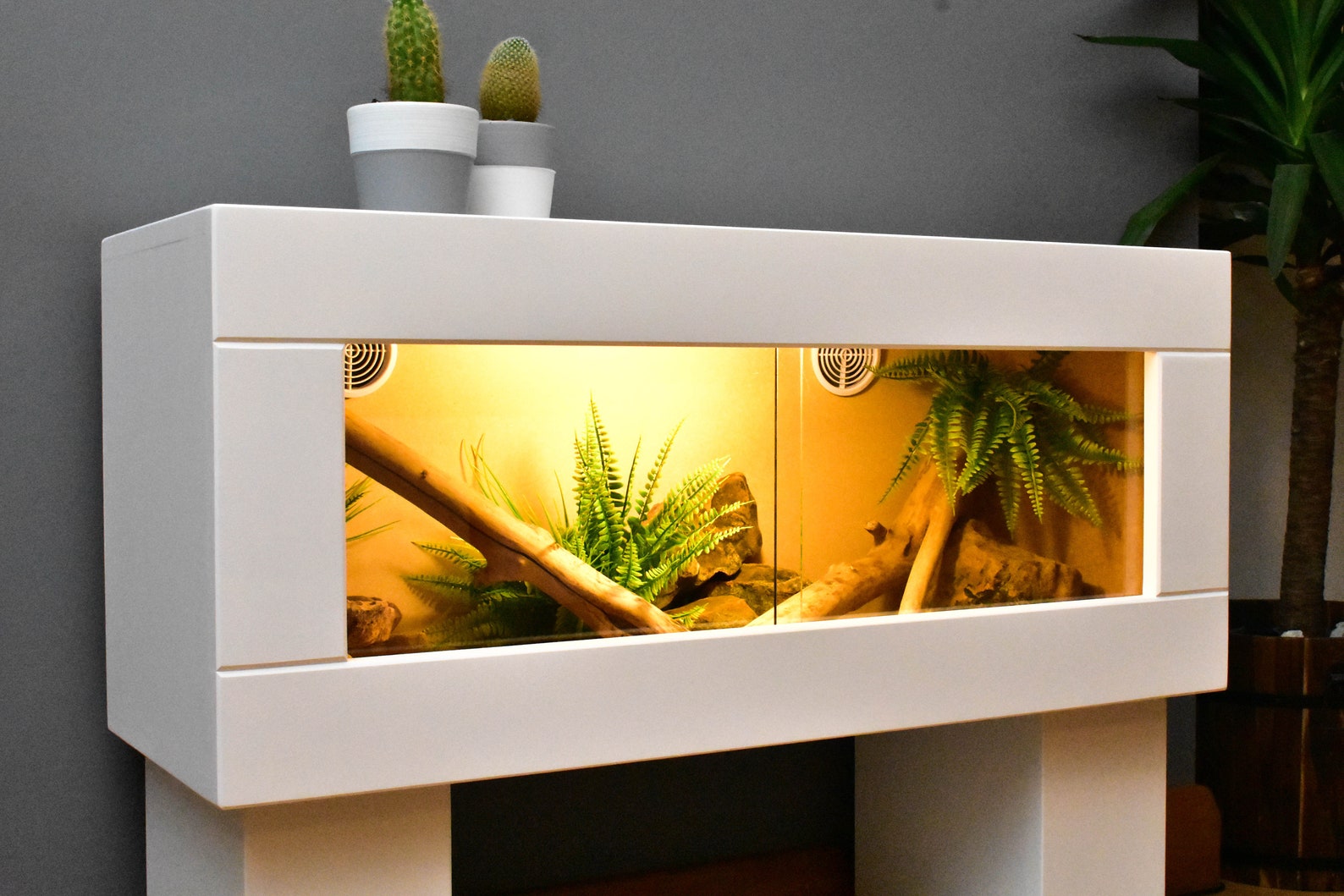 3ft White Modern Reptile Vivarium With Low Display Stand - Etsy