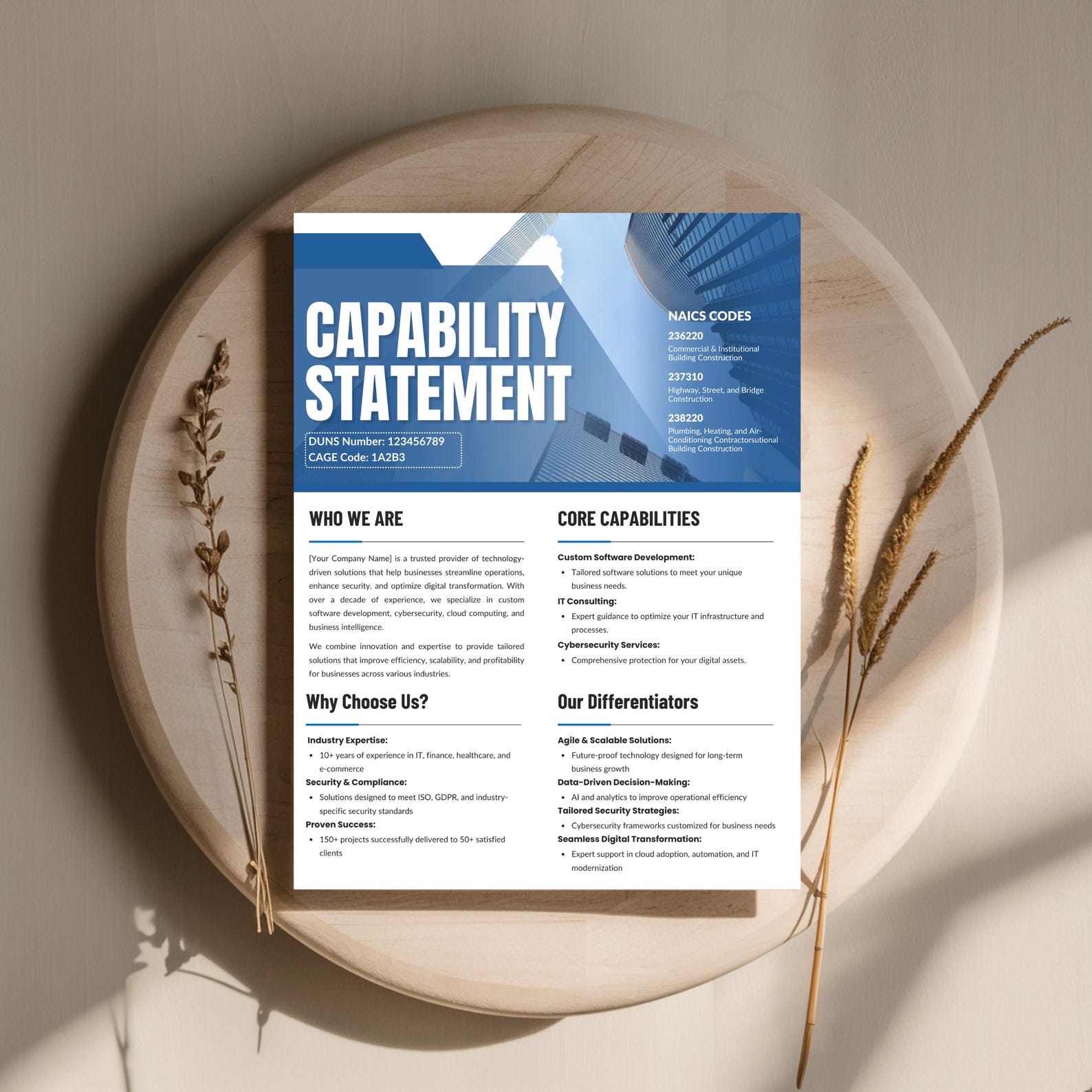 Capability Statement Template Canva, Corporate Flyer, Editable Business ...