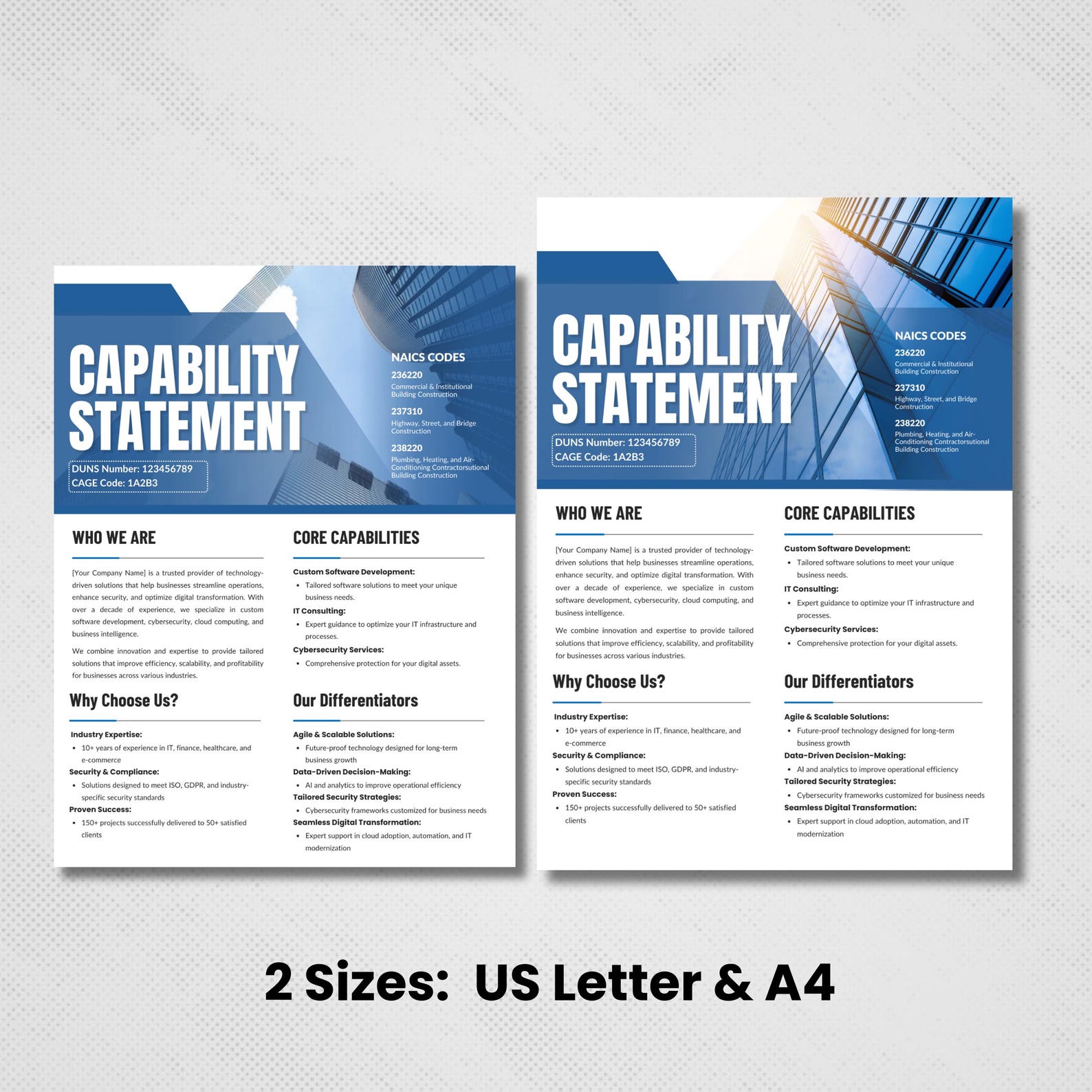 Capability Statement Template Canva, Corporate Flyer, Editable Business ...