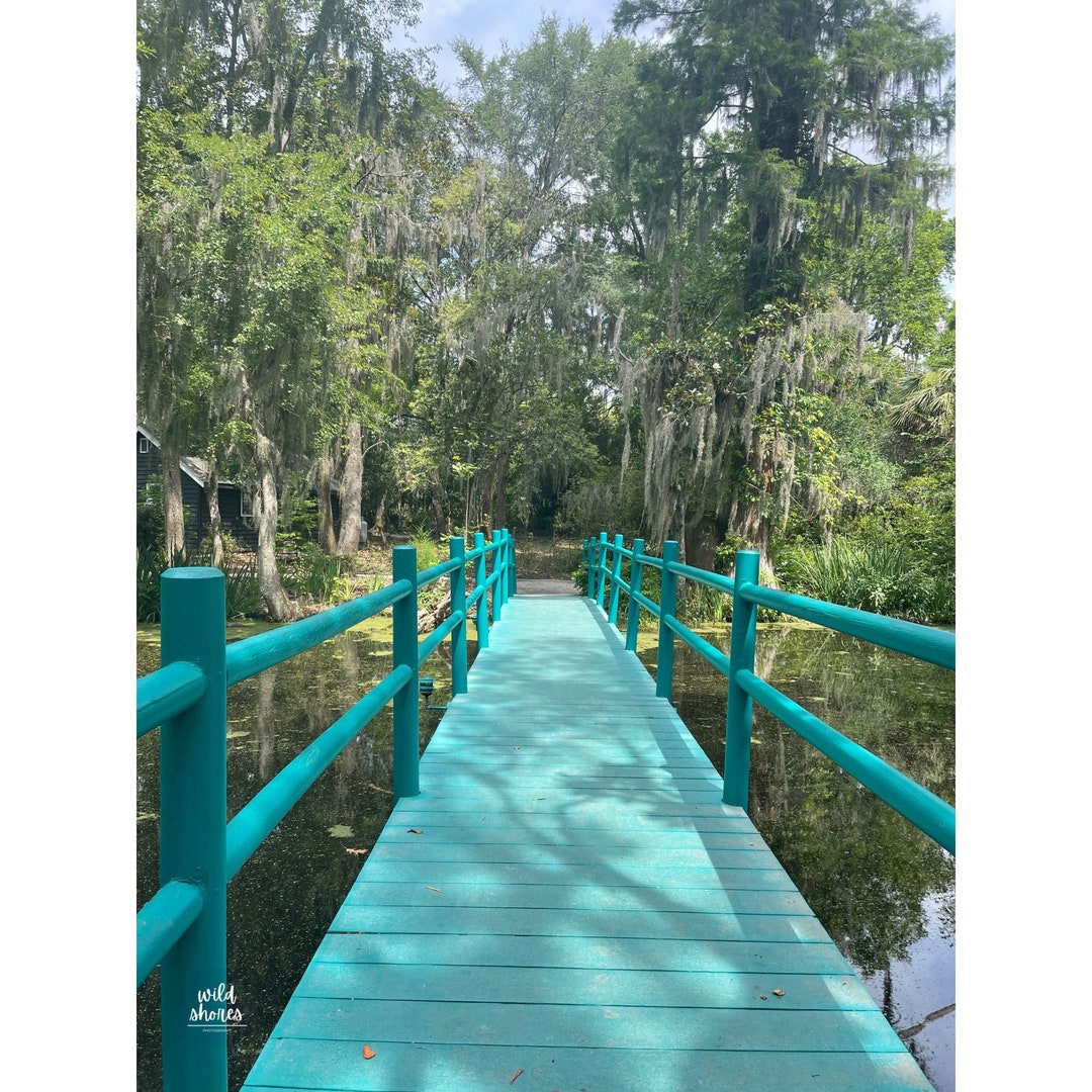 Turquoise Bridge Over Marsh at Magnolia Plantation - Charleston Digital ...