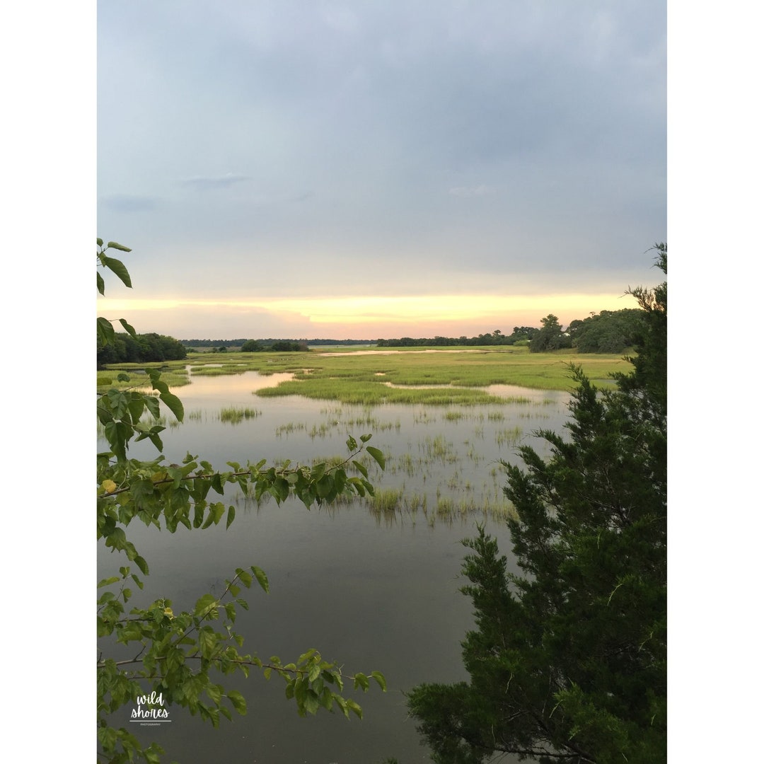 Marsh View - Charleston Digital Photo Download - Etsy