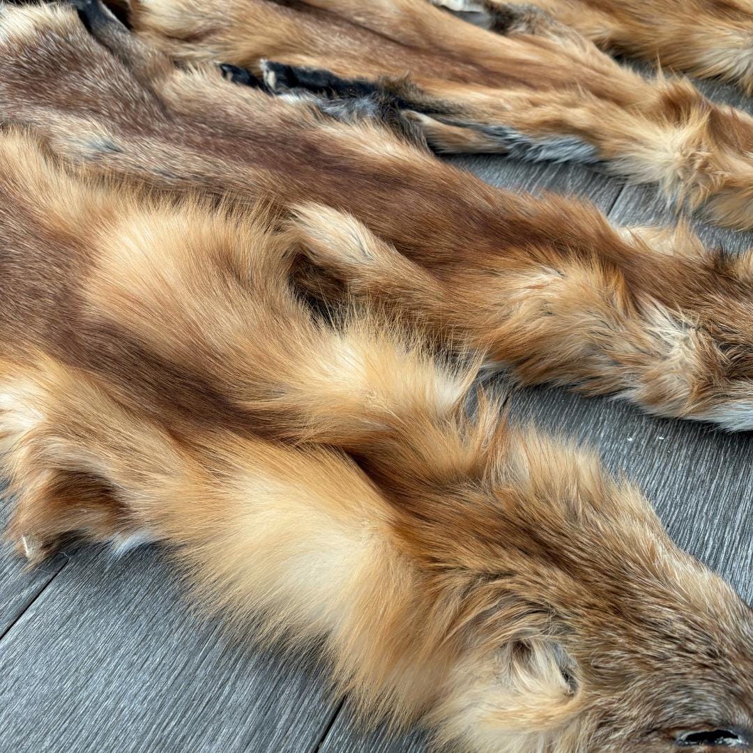 Genuine Fox Pelts; Fox Fur - Etsy