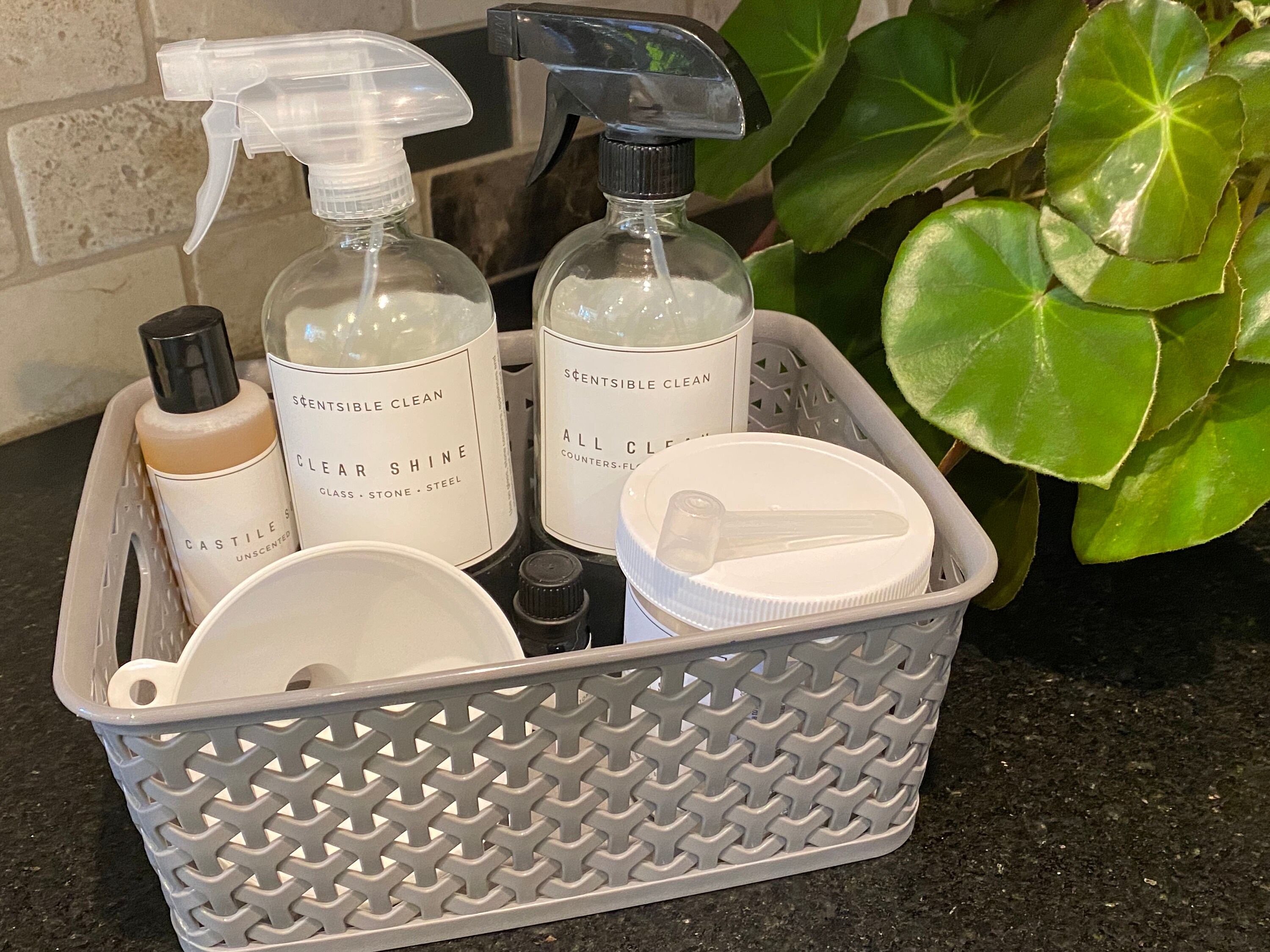 DIY Kit to Make Your Own Household Cleaners. Kit Includes 2 Spray ...