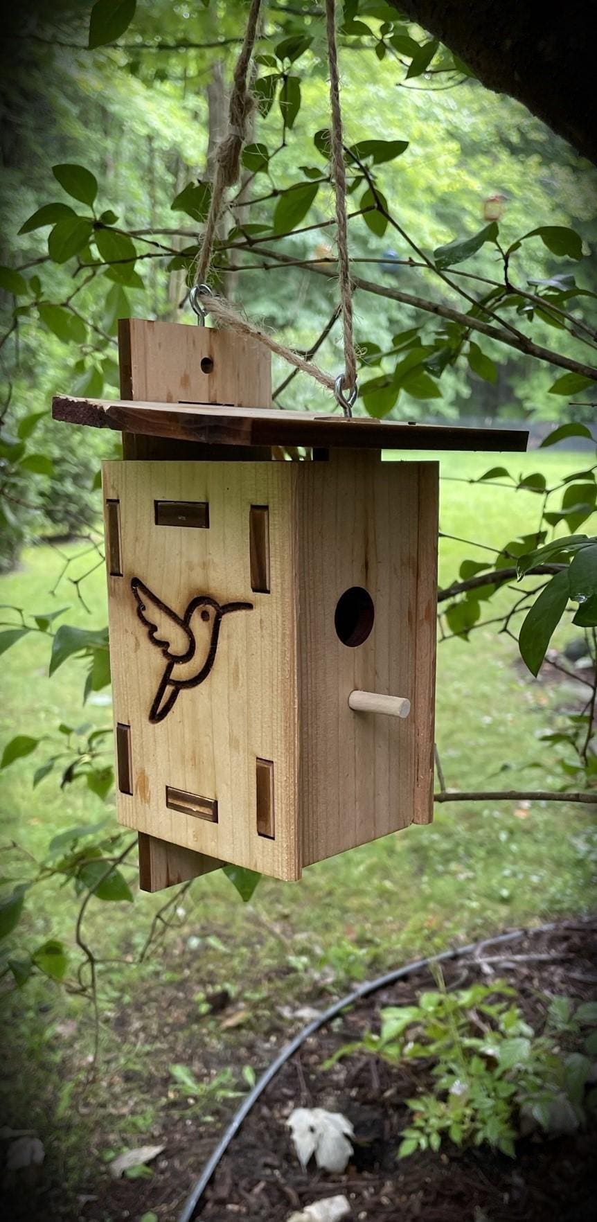 Hummingbird House, All Natural Pacific Cedar - Etsy