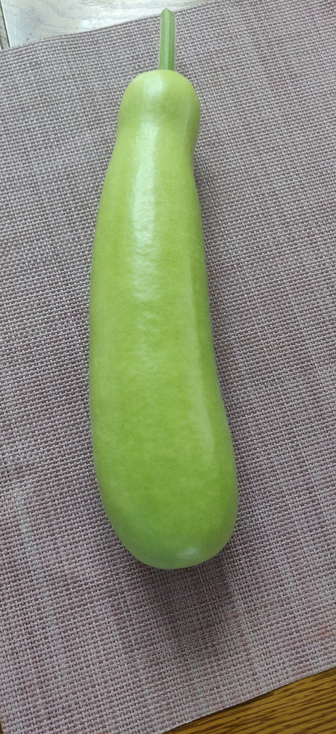 Bottle Gourd Indian Dudhi Calabash Lau Kodu 10 Seed - Etsy