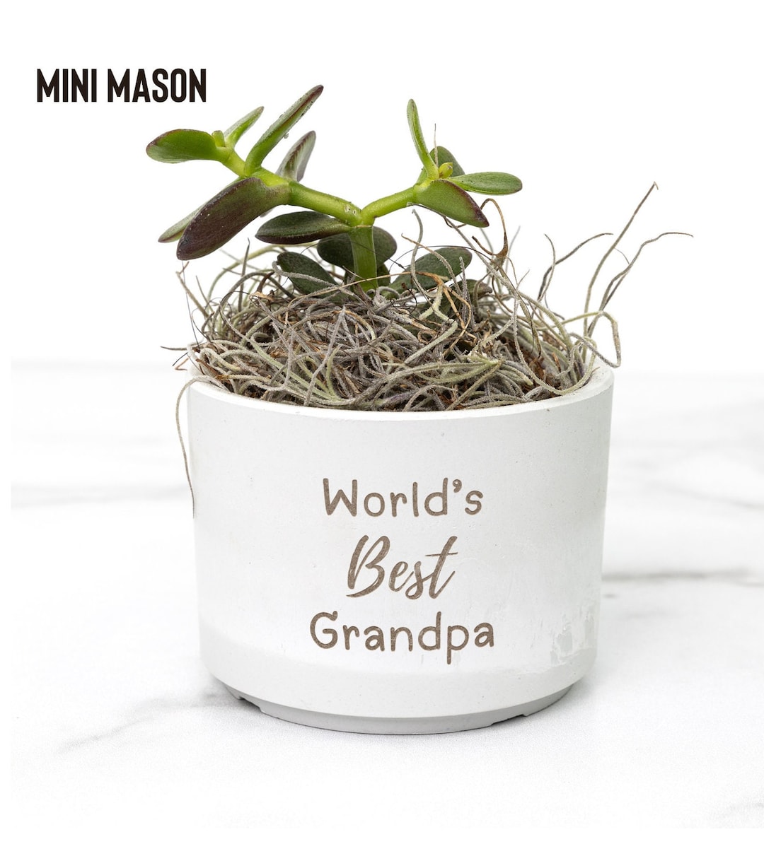 Worlds Best Grandpa Engraved Planter With Plant Choice, Recycled ...