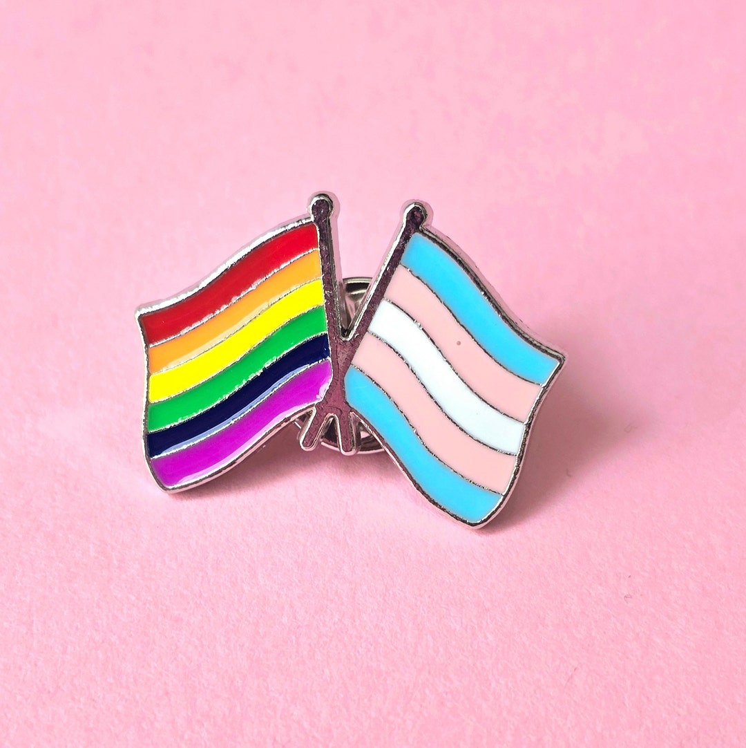 Classic Pride Flag Enamel Pin Badge Brooch Lgbtq Transgender Ally T Etsy