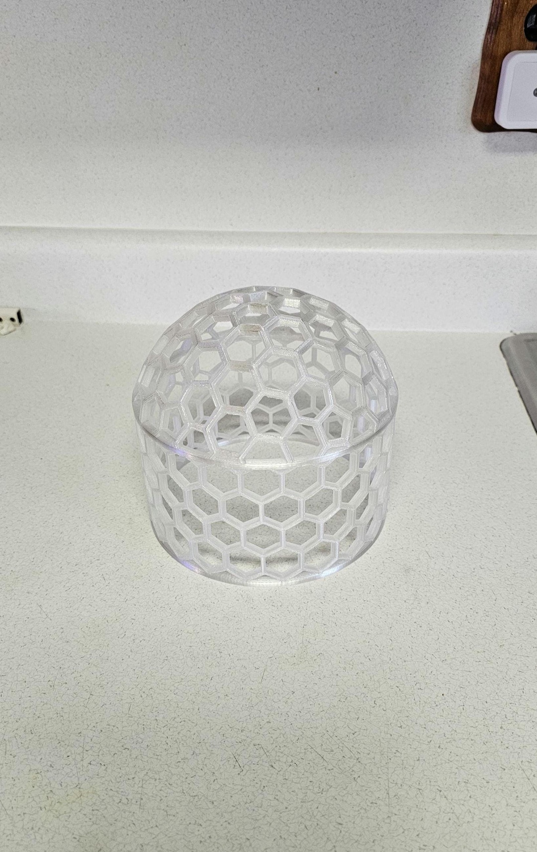 Coral Cage Large | Domed Coral Cage | 7 Inch Diameter | Reef Safe - Etsy