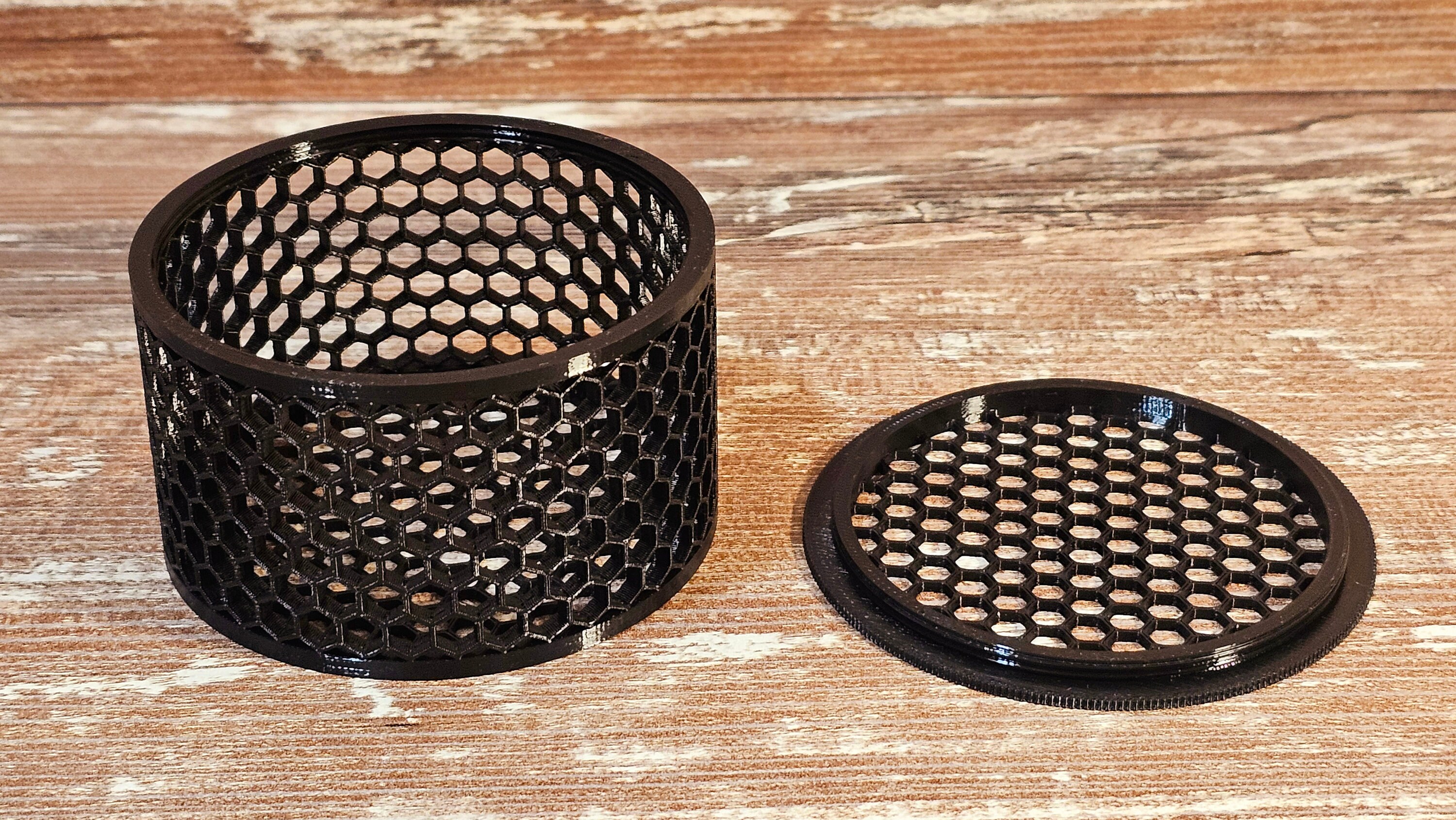 Coral Mushroom Anemone Box With Screw on Lid - Etsy