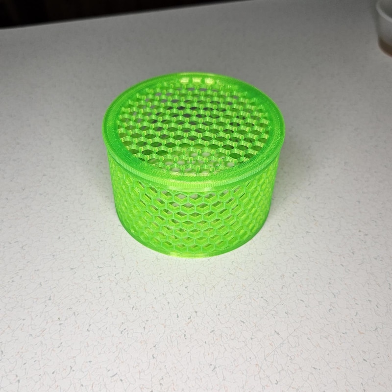 Corals Mushroom - Etsy