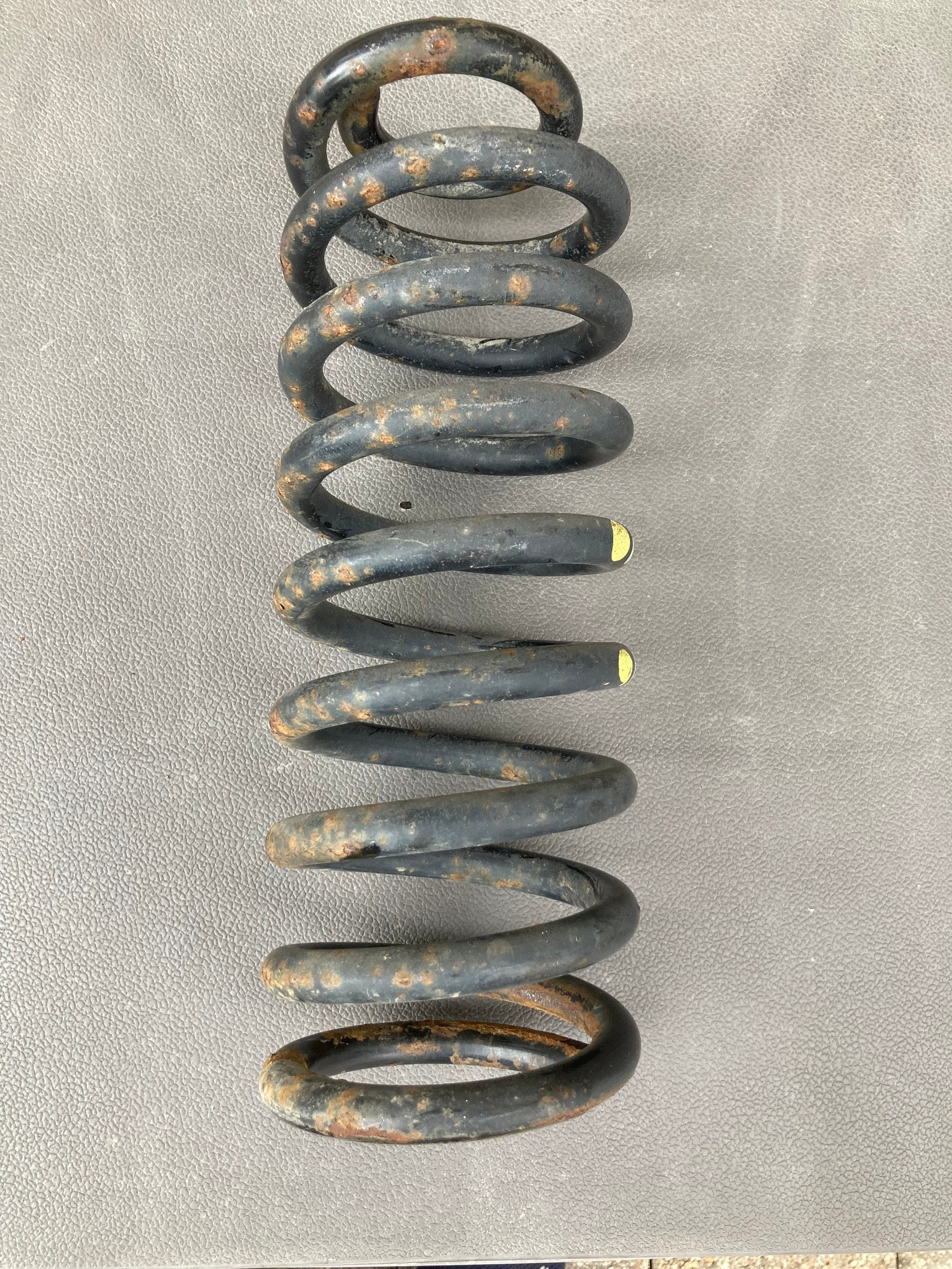Saab 9000 Rear Spring 4193637 - Etsy